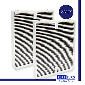 PUREBURG Replacement High-efficiency HEPA Filters Compatible with Stadler Form Roger Air Purifier, R-113, Activated carbon 2-IN-1 Air Clean Dust VOCs,2-Pack