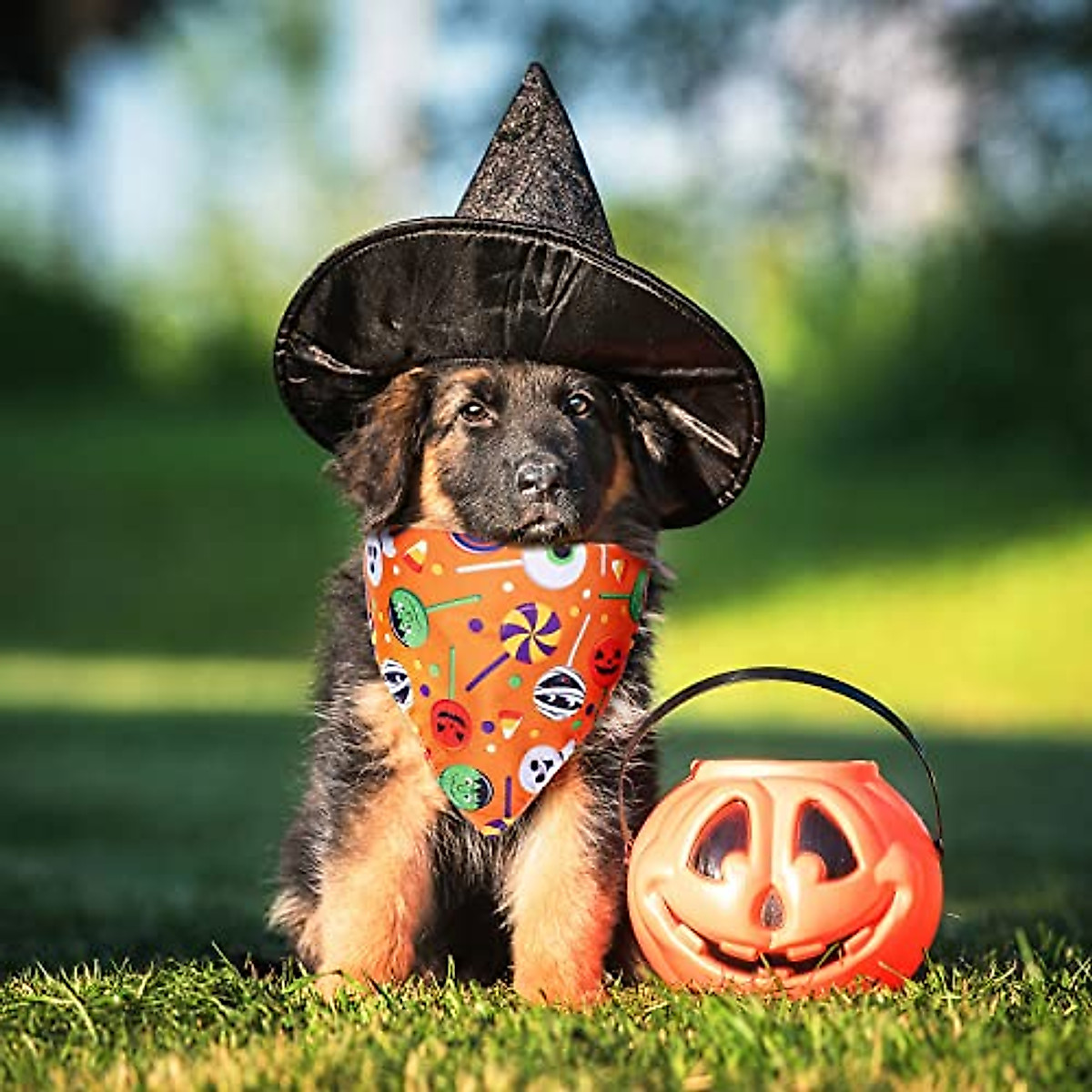 Whaline 4 Pack Halloween Pet Bandanas Pumpkin Ghost Trick or Treat Triangle Dog Bibs Purple Orange Black Dog Scarf Pet Neckerchief for Small Medium Large Pet Cat Dog Costume Accessories