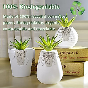 HEURYTEP 15 Packs Biodegradable Seed Starter Tray, 180 Cells Seed Starter Pots, Organic Peat Pots Kits, Seedling Starter Pots Garden Germination Trays with 20 Plant Labels, Middle Size