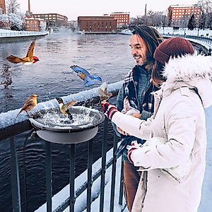 Heated Bird Bath, 75W Birdbath Water Heater with Thermostatically Controlled, Bird Bath Deicer Bird Feeder for Winter Outdoor Garden Yard Patio Lawn, with 3.94 Feet Electric Cord (Deck Mounted Style)