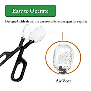 PHYPOBLE 5Pcs Reptile Supplies Set, Include a Reptile Feeding Tongs, Two Stainless Steel Tweezers, Mini Dustpan, Brush and Leave for Hamsters, Turtle, Chameleon, Snake, Spider and Other Small Animals