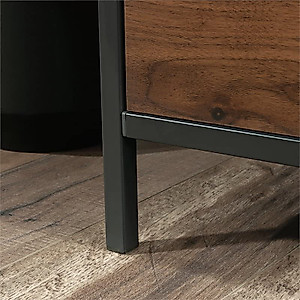 Sauder Nova Loft 2-Drawer Lateral File Cabinet in Grand Walnut, Grand Walnut Finish