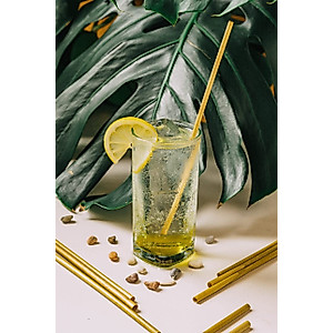 ijo grass straw IJO grass straws 100% natural, biodegradable, compostable, plastic free, eco drinking straws Pack of 100
