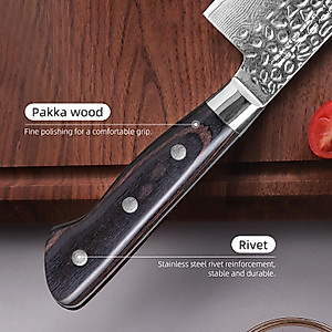 FINDKING 8 Inch Gyuto Chef Knife, Razor-Sharp Damascus Steel Edge Kitchen Knife, All-Purpose Japanese Cutting Companion, Professional-Grade Kitchen Essential (Raven Series)