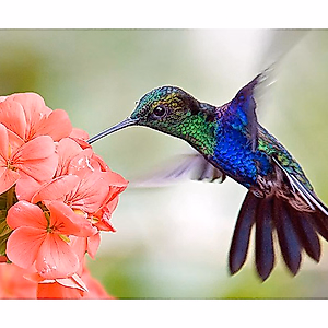 S925 Sterling Silver Urn Ring for Ashes Love Heart Keepsake Memorial Cremation Jewelry for Women Size 9