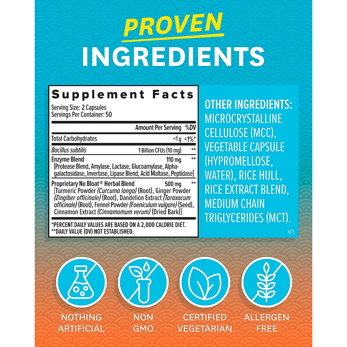 Zenwise Health NO BLØAT - Probiotics for Digestive Health with Ginger, Dandelion, and Cinnamon, Digestive Enzymes for Gas and Bloating Relief for Women and Men - Water Retention Pills - 100 Count