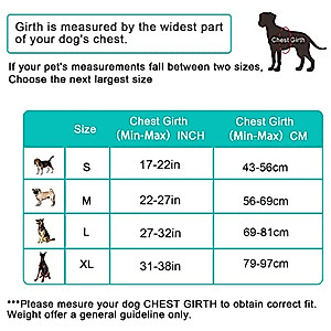 BARKBAY No Pull Pet Harness Dog Harness Adjustable Outdoor Pet Vest 3M Reflective Oxford Material Vest for PINK Dogs Easy Control for Small Medium Large Dogs (L)