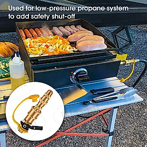 Blasoul 1/4" Quick Connect Propane Hose Adapter For RV To Grill or Cooking, Connecting RV To Any Propane Source, Includes 1/4" Female Shutoff Valve &Full Flow Plug & 1/4" Male NPT &1/4" Female NPT