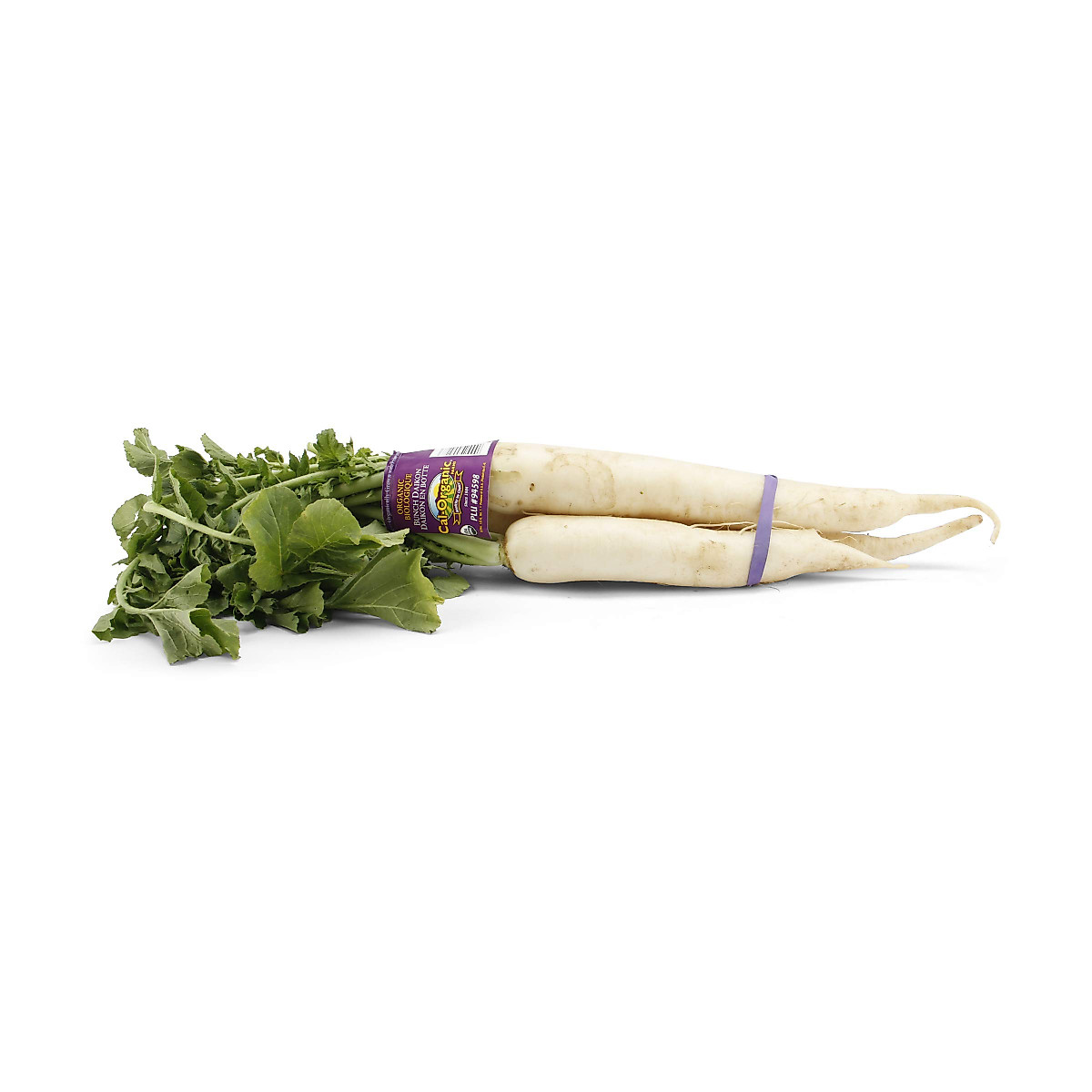 Organic Daikon Radish