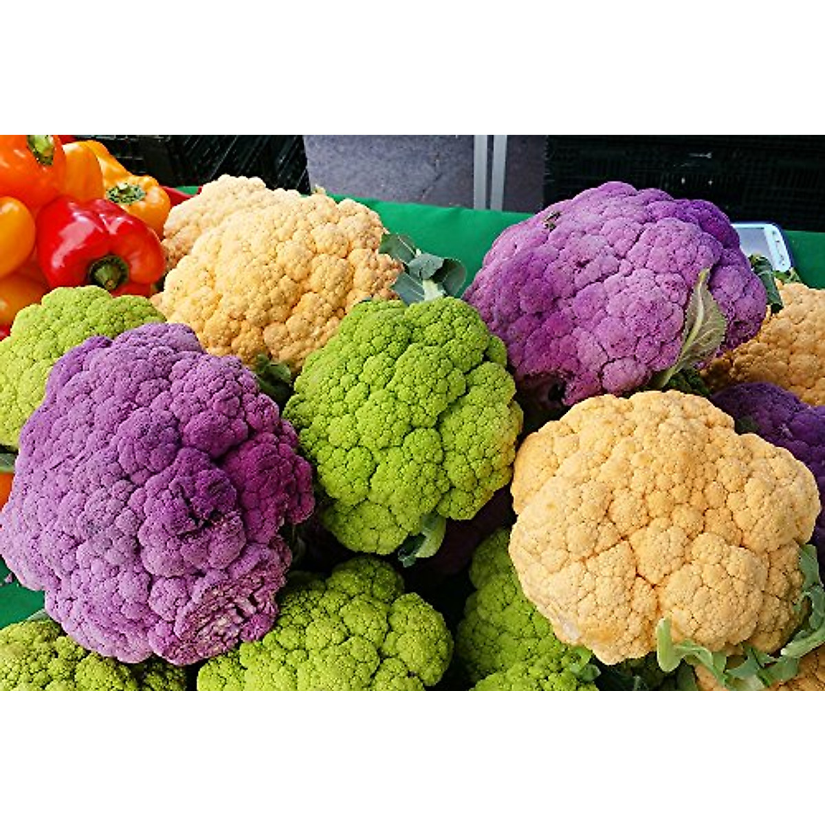 Please Read! This is A Mix!!! 50+ Cauliflower Mix Seeds Heirloom Non-GMO 4 Varieties Purple Green Yellow Delicious from USA