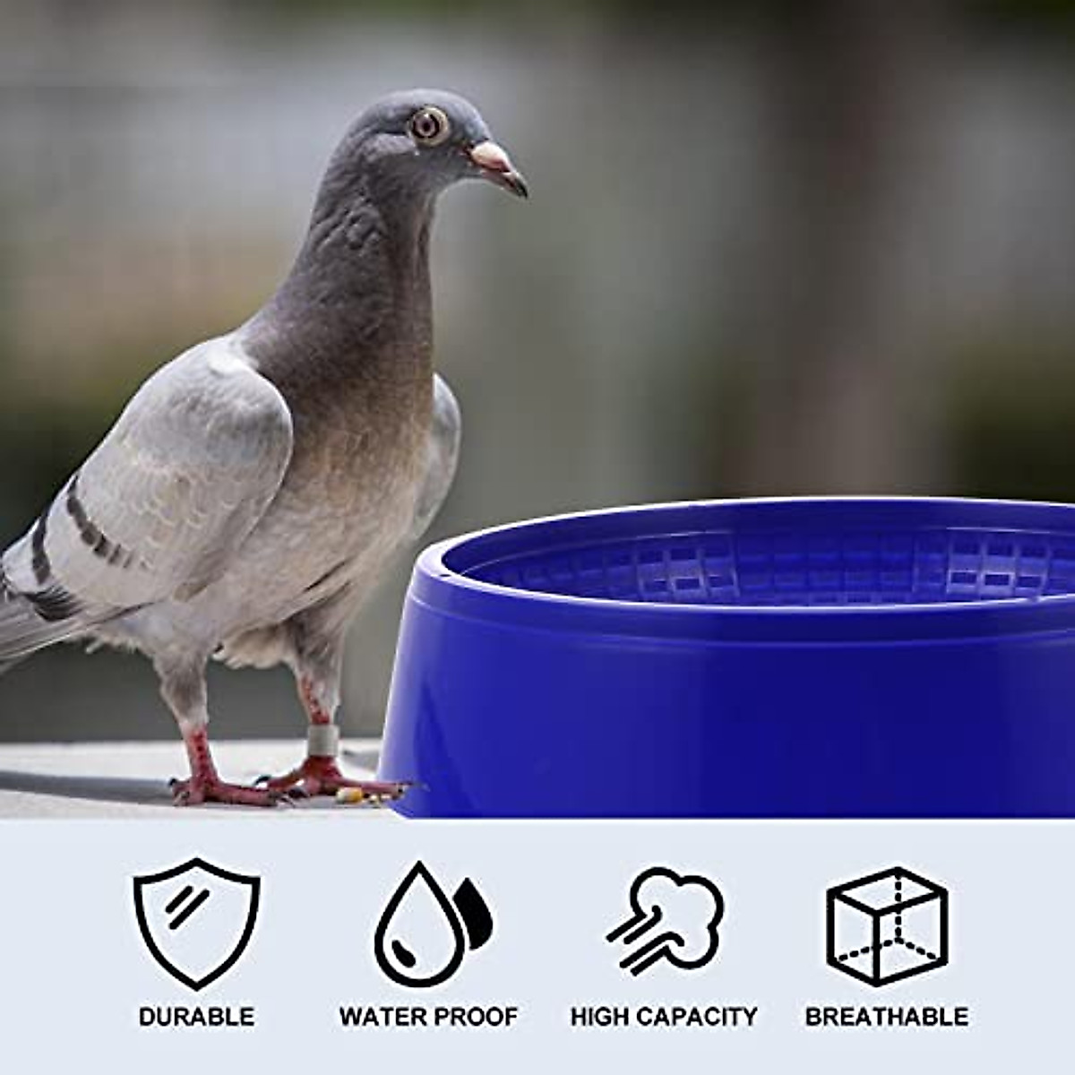Ipetboom Bird Cozy Hut 3 Pcs Bird Nest, Pigeon Nest Pigeon Breeding Bowl Pigeon Nest Bowl Bird Breeding Box Hatching Nest for Pigeons Doves Quails Small Birds, 21x21x5.5cm Bird Feeding Container