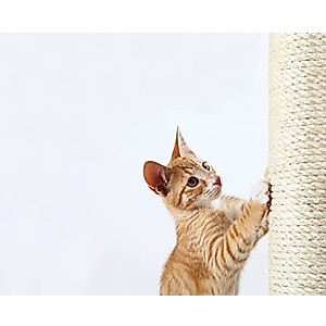 TRIXIE Parla Scratching Post, Durable Sisal Rope, 24.5" Tall, Gray