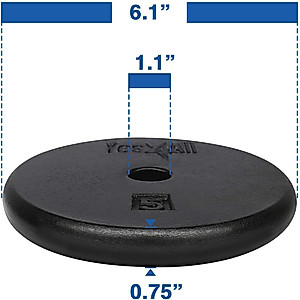 Yes4All 1-inch Cast Iron Weight Plates for Dumbbells – Standard Weight Disc Plates (5 lbs, Single)