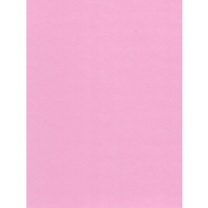 Cardstock Warehouse Pop Tone Cotton Candy Pink - 8.5 x 11" - 100 Lb. / 270 Gsm Matte Premium Cardstock Paper -25 Sheets