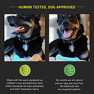 Playology Dual Layer Bone Dog Toy, for Large Dogs (35lbs and Up) - for Heavy Chewers - Engaging All-Natural Peanut Butter Scented Toy - Non-Toxic Materials