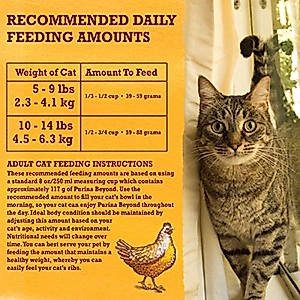 Purina Beyond Natural Dry Cat Food Wholesome Ingredients for Whole Health White Meat Chicken and Whole Oat Meal Recipe - 13 lb. Bag