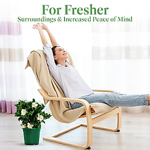 American Plant Exchange Gardenia Veitchii Bush, Fragrant White Flower Blooms, Live Gardenia Plant, 6-Inch, Ideal for Home and Garden Decor