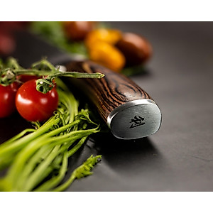 Wakoli EDIB 4-pcs Damascus Knife Set I Professional Kitchen Knives made of Japanese Damascus Steel VG10 Chef Knife Set with Pakka Wood Handle in Gift Box