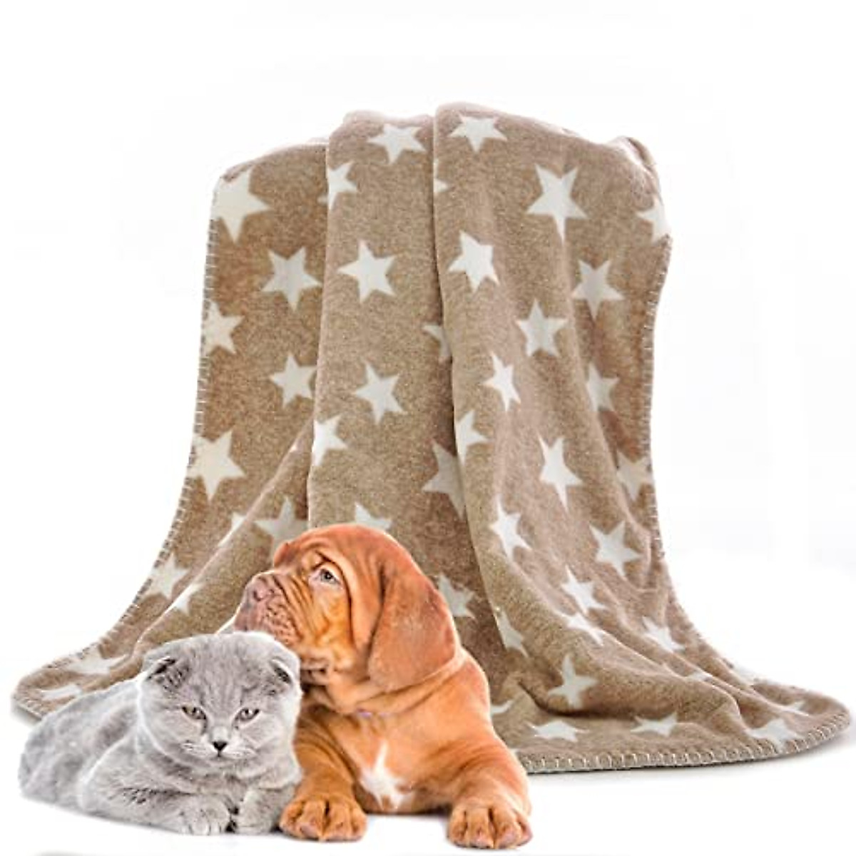 LeerKing Dog Blanket Double Layer 30 x 40 Inches, Micro Fleece Plush Warm Puppy Blanket Bed Cover Protection Pet Cat Kitten Flannel Throw Blanket