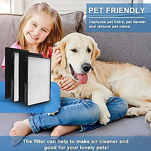 A2 Filter Replacement for 3M Filtrete Room A2 Models FAP-C02-A2 FAP-C03-A2 FAP-T03-A2, 2 post-filters + 4 Carbon pre-filters, Part No.1150101