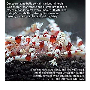 DreamDealsSG Tourmaline Balls for Freshwater Aquarium Tank. Mineral Supplement Substrate. Live Shrimp Food, Betta Fish Food, and Crayfish Food. Water Conditioner for Freshwater Shrimp etc.