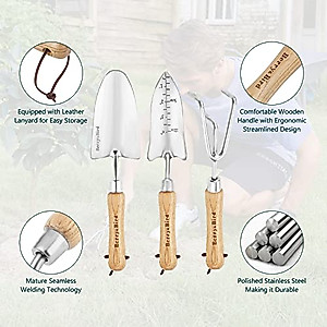 Berry&Bird Garden Tool Set, 3 PCS Stainless Steel Heavy Duty Gardening Tool Kit Includes Hand Trowel, Transplanter and Hand Cultivator with Ash Wood Handle for Transplanting Digging Loosening Soil