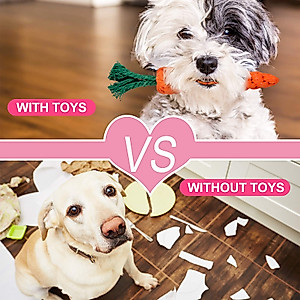 Whaline 4PCS Easter Dog Toy Kit Puppy Chew Toy Carrot Ball Rabbit Yellow Duck Cotton Rope Toy for Easter Pet Gifts Small Medium Large Dog Pets Playtime Teeth Cleaning