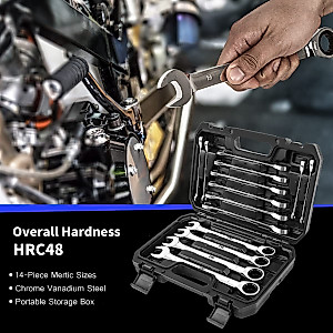 Prostormer 14-Piece Ratcheting Wrench Set, 6-19mm Metric Chrome Vanadium Steel Ratchet Wrenches, Combination Ended Spanner Kit with Storage Case