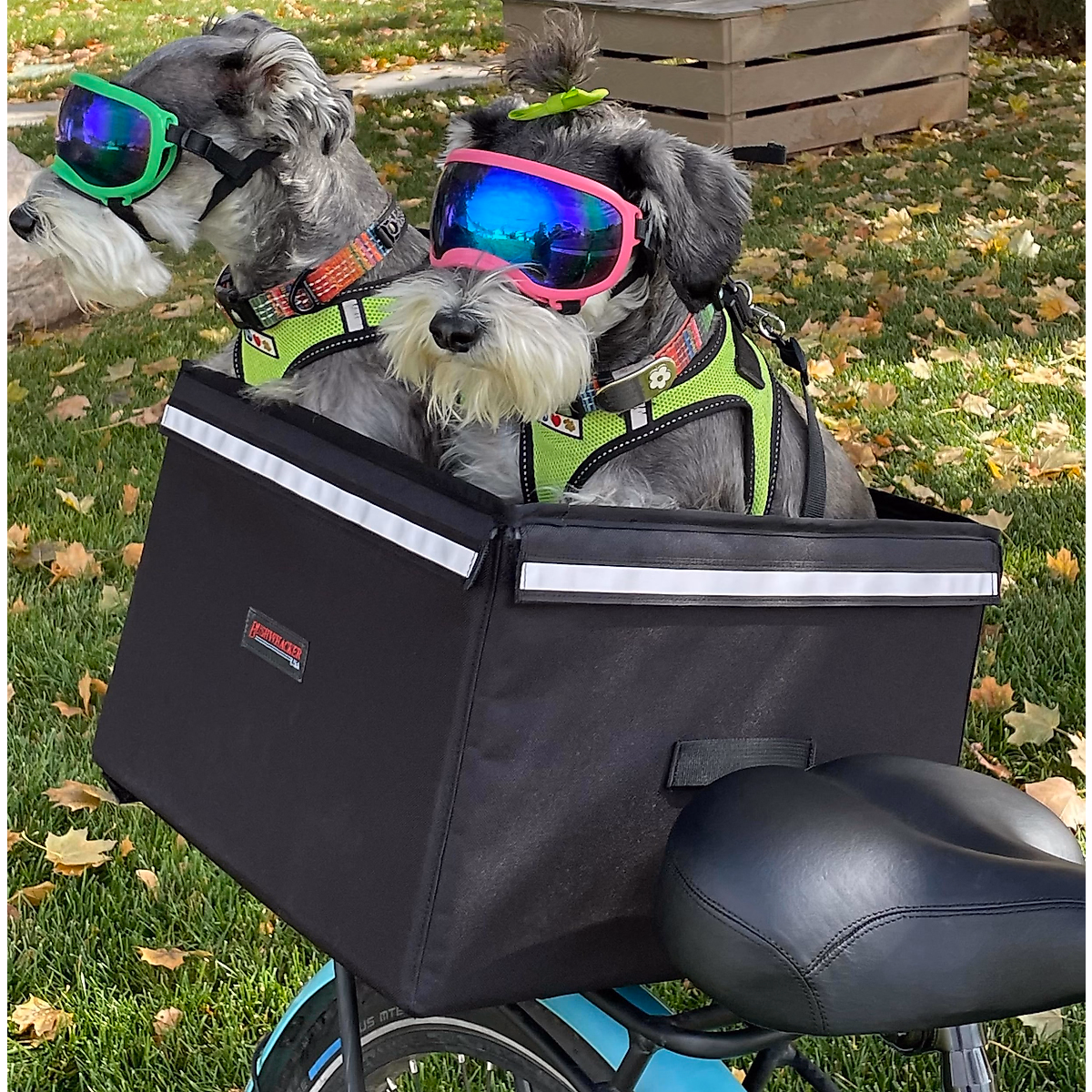 Bushwhacker Portland - Bike Rack Dog, Grocery and Goods Carrier - Bicycle Pannier Crate Cycling Basket Trunk Bag Rear Bed Storage Leash Carry Cargo Pet Commuter Behind Seat Accessories Items Ebike