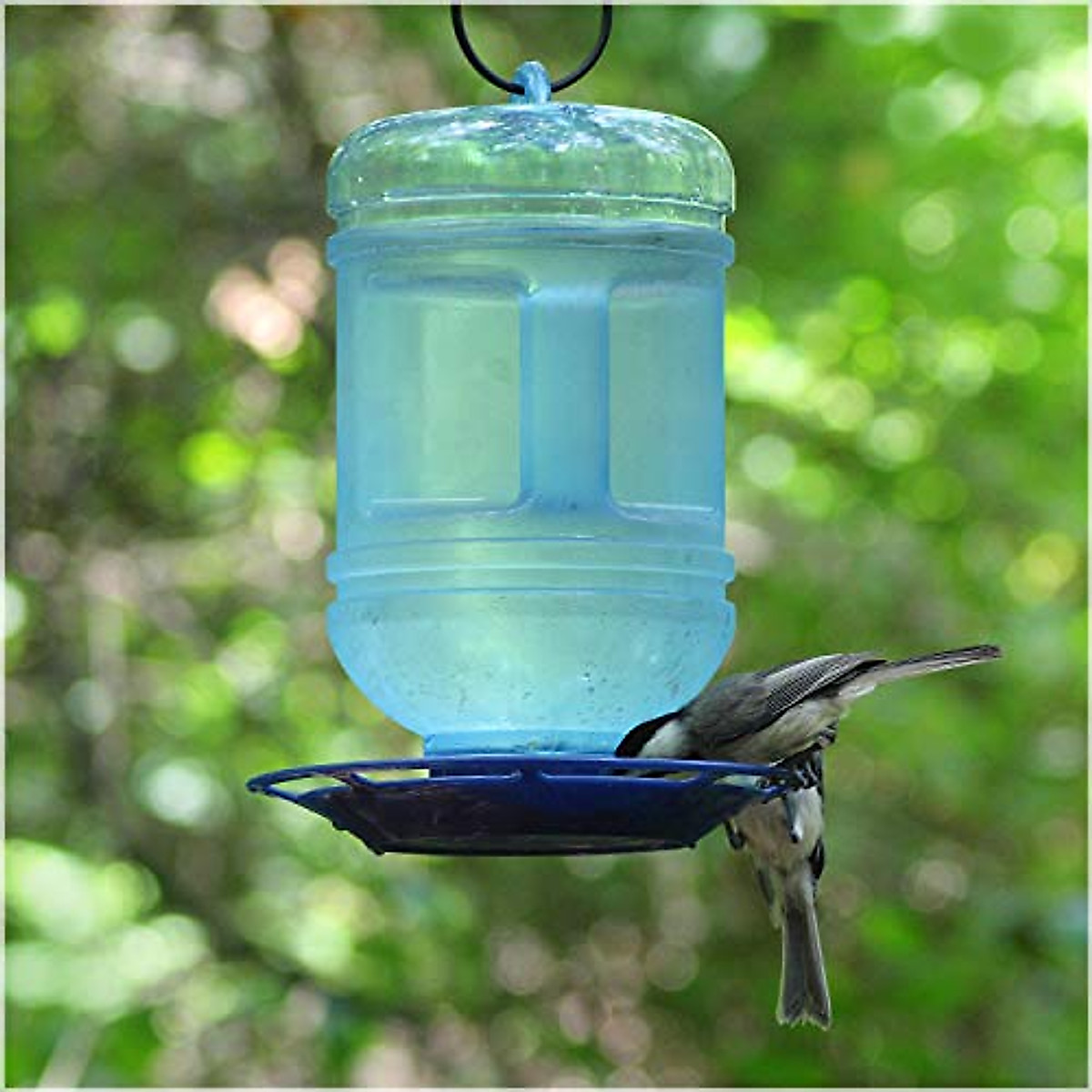 Perky-Pet 780 Outdoor Hanging Water Cooler Bird Waterer and Dispenser,Blue, 1.5 Qt Capacity