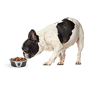 PetRageous 13097 Fiji Stainless Steel Non-Slip Dishwasher Safe Dog Bowl 1.75-Cup Capacity 5.5-inch Diameter 1.75-inch Tall for Small and Medium Size Dogs and Cats, Light Grey and Black