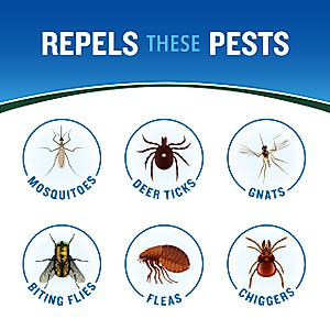 Cutter Backwoods Insect Repellent Travel Size, Repels Mosquitos for Up To 10 Hours, 25% DEET, 3 Ounce (Aerosol Spray)