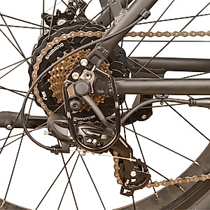 DJ Fat Bike 750W 48V 13Ah Power Electric Bicycle, Matte Black, LED Bike Light, Suspension Fork and Shimano Gear