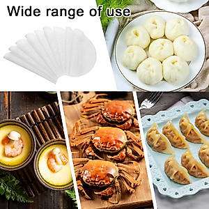 10 inch Non Stick Silicone Steamer Liners Mesh Mat Pad Steamed Buns Dumplings Baking Pastry Dim Sum Mesh Reusable Silicone Steamer Liners pastry mat bamboo steamer liners 10pcs