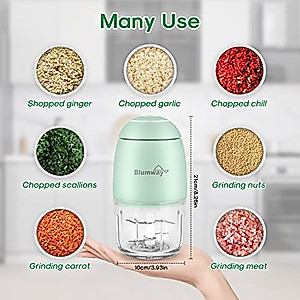 300ML Electric Mini Food Processor, 60W Cordless Food Press Garlic Chopper, Mini Blender For Garlic,Vegetable,Fruit,Onions,Chili,Meat,Salad,Baby Food, Glass Container (Green)