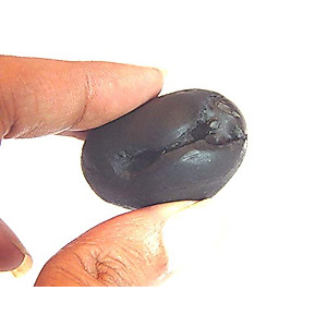 phoenix888 Sacred Adwaitya Shweta Gadadhar Pandit Shaligram Nepal Kali Gandaki