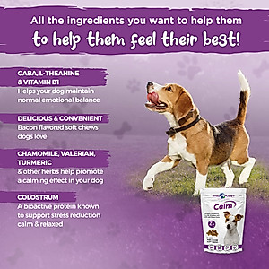Vital Planet - Calm Soft Chews for Dogs, Promotes Calmness in Stressful Situations with GABA, Colostrum, Valerian, Turmeric, Chamomile, and L-Theanine - 45 Natural Bacon Flavored Soft Chews
