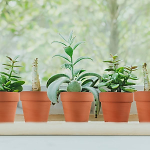 Sderoq 3 Inch Terracotta Pots - 22Pack Clay Flower Pots with Drainage Hole, Succulent Nursery Pot/Cactus Plant Pot. Great for Plants, Crafts, Wedding Favorn, DIY Production