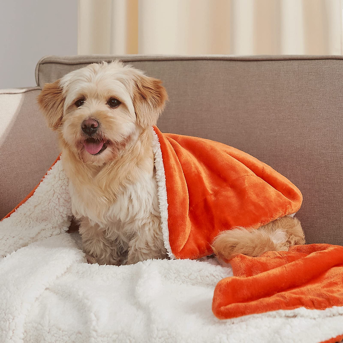 NICETOWN Fall Blanket Sherpa Fleece Throw Blanket for Couch, Winter Warm Fuzzy Soft Blankets and Throws for Sofa, Velvet Reversible Luxurious Blanket for Home/Bed/Kids,50 inches x 60 inches, Orange