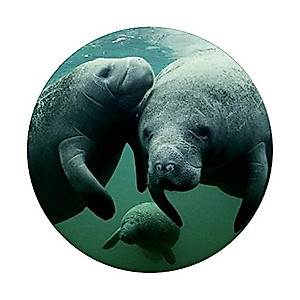Manatee Family Sea Cow Mammal Conservation Photograph PopSockets PopGrip: Swappable Grip for Phones & Tablets