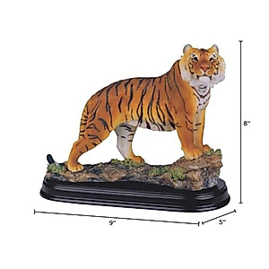 StealStreet SS-G-19712 Bengal Tiger Collectible Wild Cat Animal Decoration Figurine Statue