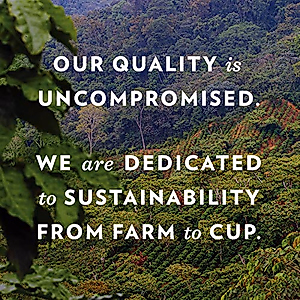 Community Coffee Signature Blend Instant Coffee, Dark Roast, 7 oz Jar (Pack of 4)