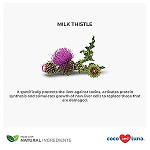 Milk Thistle for Dogs and Cats – Liver Support for Dogs and Cats, Milk Thistle Liver Detox, Dog Liver Supplement, Supplements for Dogs and Cats, Cat and Dog Detox – 2oz (60ml)