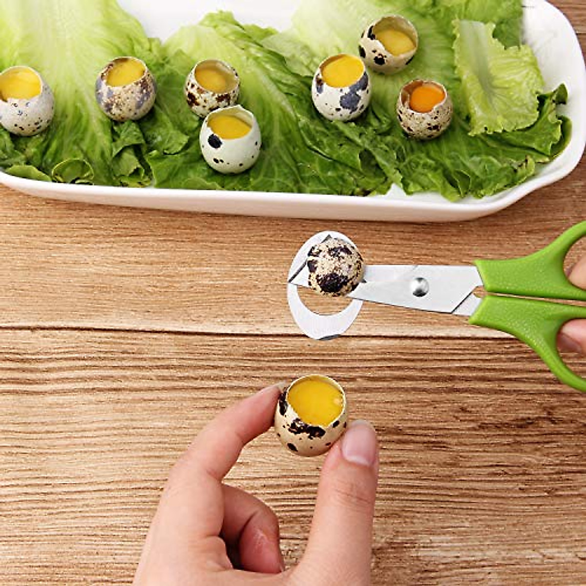 Calary 3Pcs Quail Egg Cutter Scissors Kitchen Egg Shears Tool (Green)