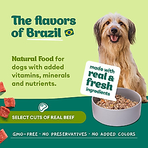 Pet Delicia Natural Dog Food 11.3oz (320g) Can (Beef Risotto)