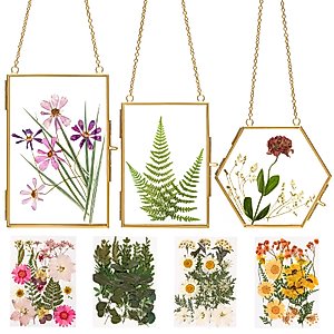 Double Glass Frame for Pressed Flowers - w/Real Dried Flowers and Tweezer for Handicrafts, Photo, or Other Small Flat Items