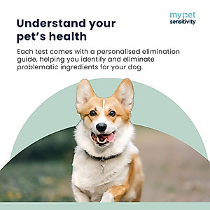 My Pet Sensitivity Test - Home Dog Sensitivity Test | 300 Items Checked | Fast 3-5 Day Results | Painless Hair Sample Method | Food, Environment & Additives Analysis | All Dog Breeds & Ages