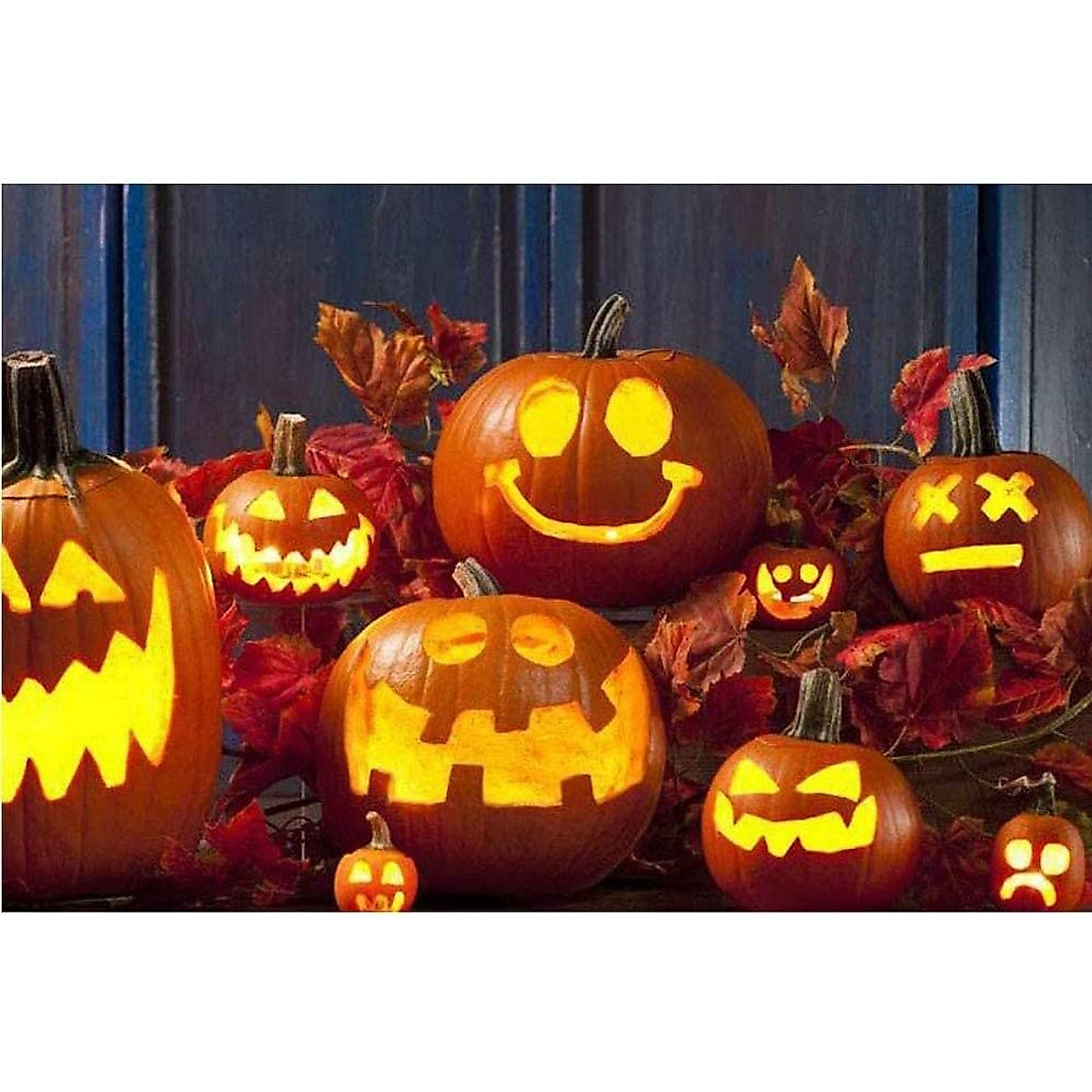 Niuelai Professional Heat Cutter Kit(16pcs),Hot Knife for Cutting & Carving Foam Making Stencils and Cutting Vinyl & Plastic,Multipurpose Stencil&Plastic Cutter for Fun Crafting