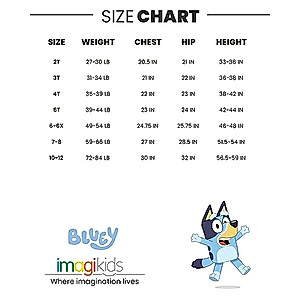 Bluey Bingo and Friends Toddler Girls 3 Pack Graphic T-Shirt Blue/Grey/Pink 2T