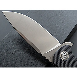 Eafengrow CH3504-G10 Flipper Folding Knife Camping Fruit Pocket Knives EDC Tools D2 Blade Ball Bearings Outdoor Tool (black)